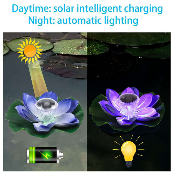 Deago Solar Powered Outdoor Floating Pool Lights & Reviews | Wayfair Deago Solar Powered Outdoor Floating Pool Lights & Reviews | Wayfair
